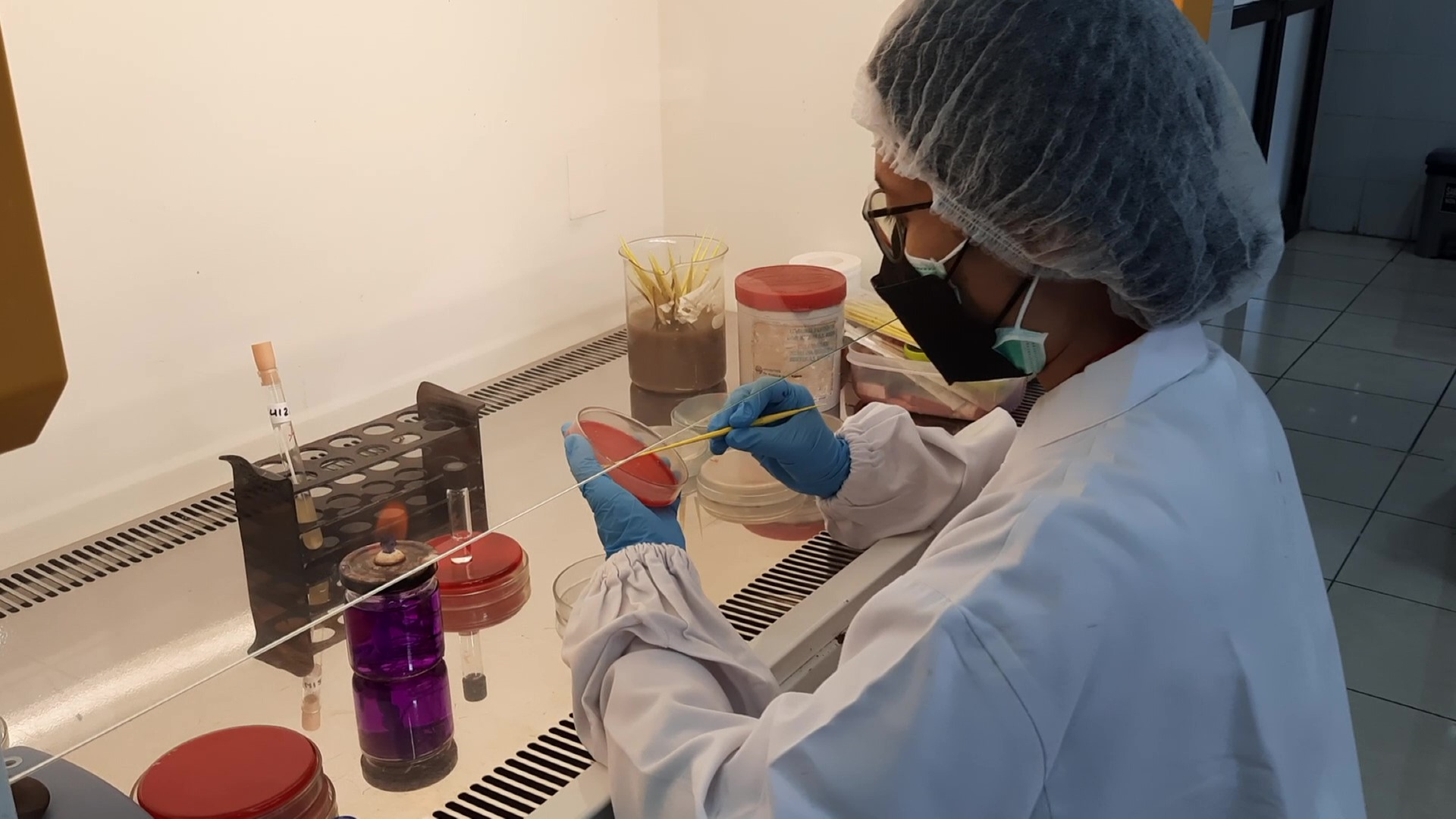 Balai Laboratorium Kesehatan Provinsi Bali